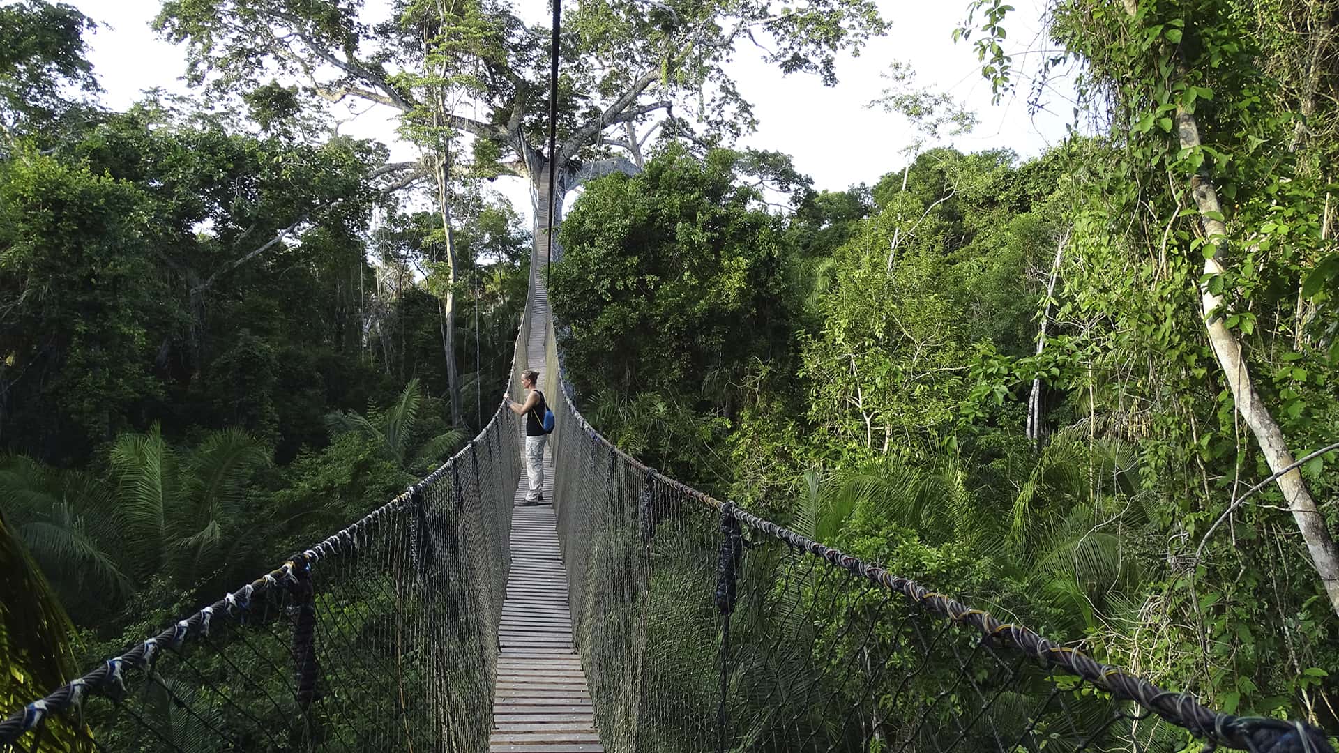 Peru Amazon Tours | Impactful Travel